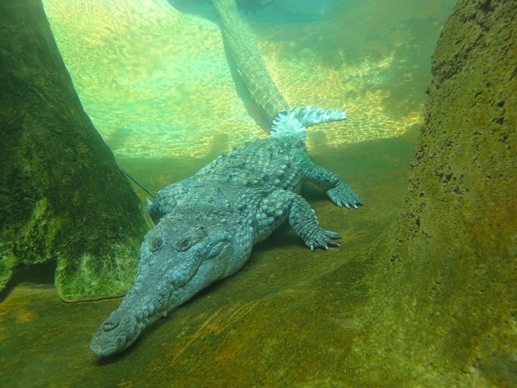 目をつむっても見えます！ - 株式会社バイオーム